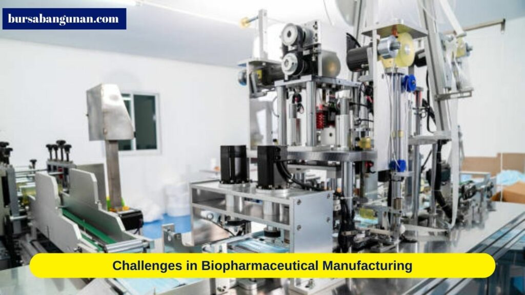 Advances and Challenges in Biopharmaceutical Manufacturing Facilities